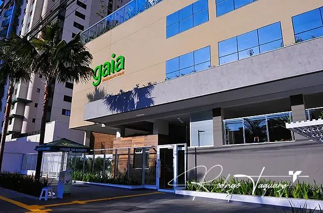 Apartamento no Edifício Gaia Consciente Home em Goiânia - Gaia Conscient Home – Apartamento à ...